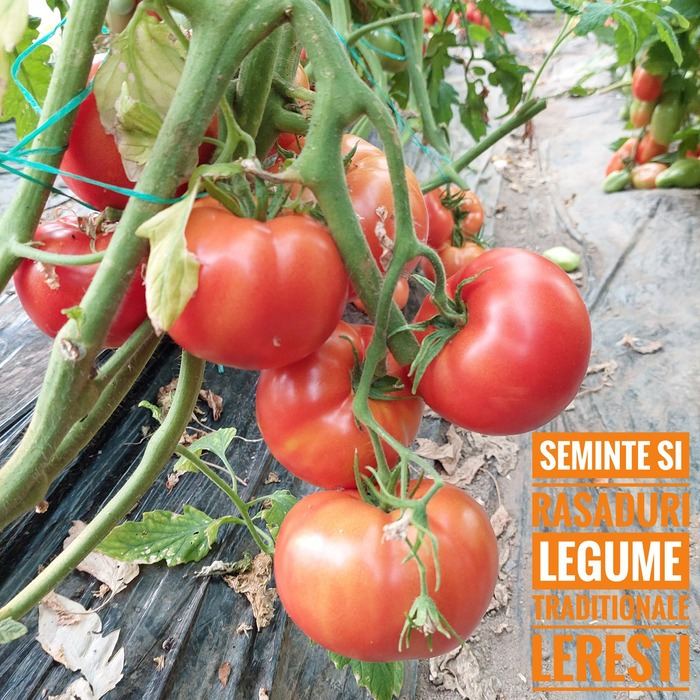 SOIURI ROSII DETERMINATE :: gradina cu legume traditionale