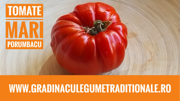 ROSII MARI DE PORUMBACU (soi romanesc) :: legumetraditionale.ro