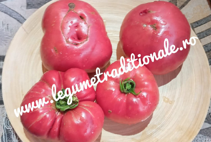 ROZ GRADINA :: legumetraditionale.ro